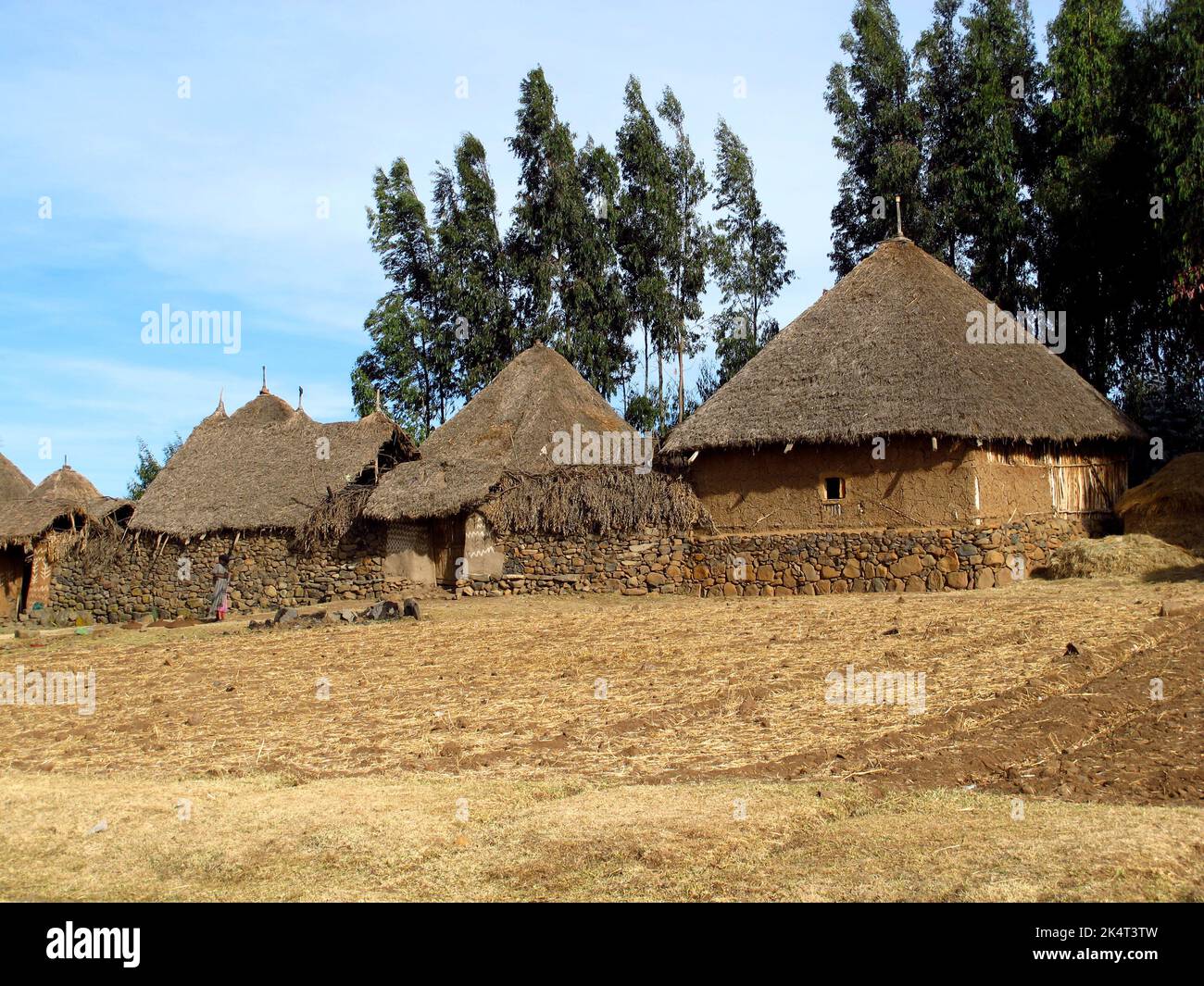 Tribal village in Ethiopia country, Africa Stock Photo - Alamy