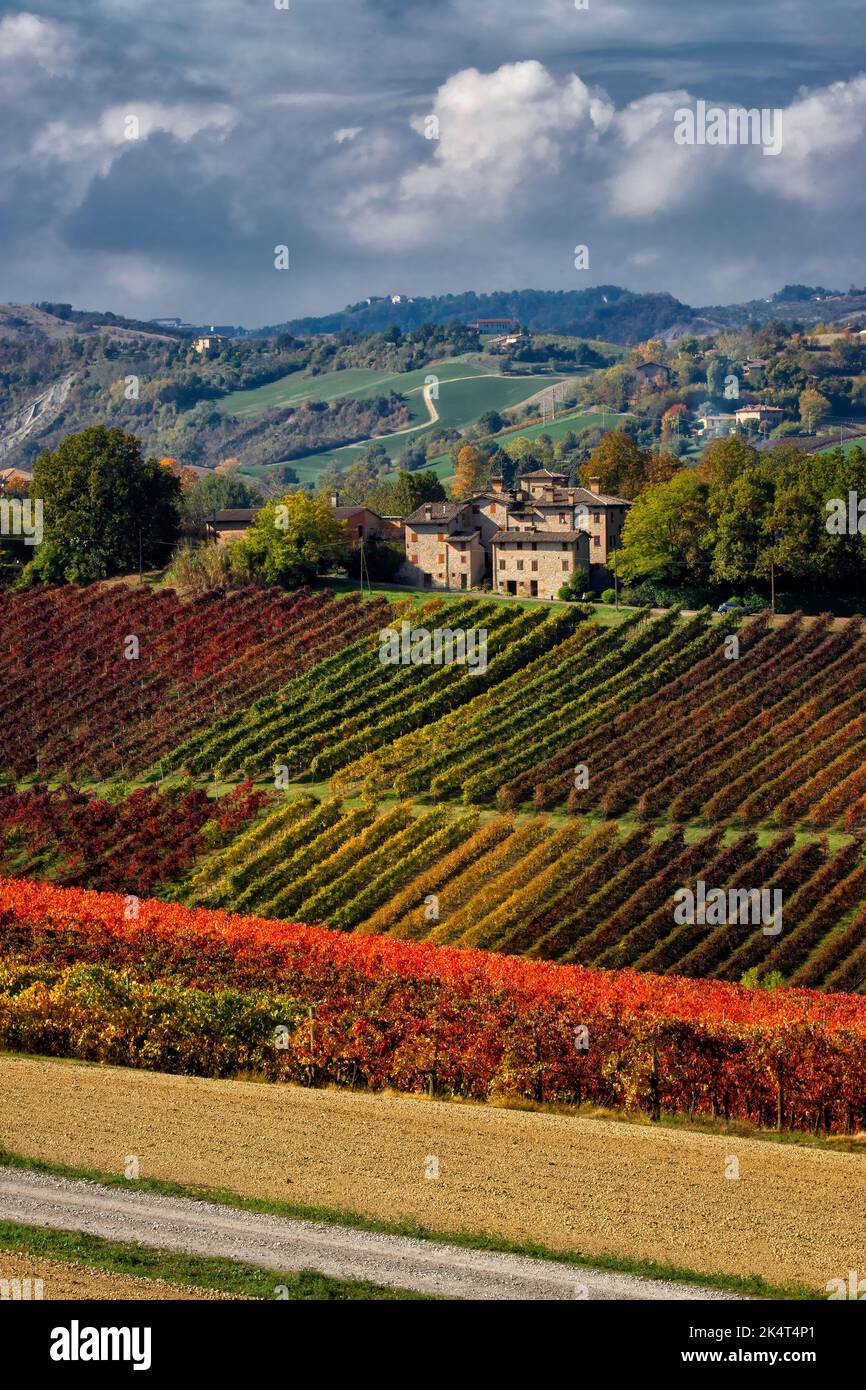 Autunno in vigna hi-res stock photography and images - Alamy