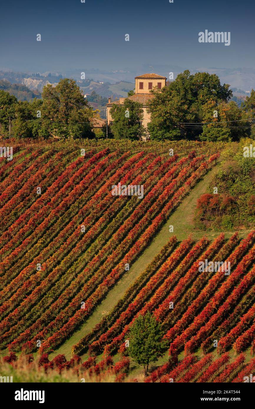 Autumn landscape in Castelvetro di Modena, Emilia Romagna, Italia Stock ...