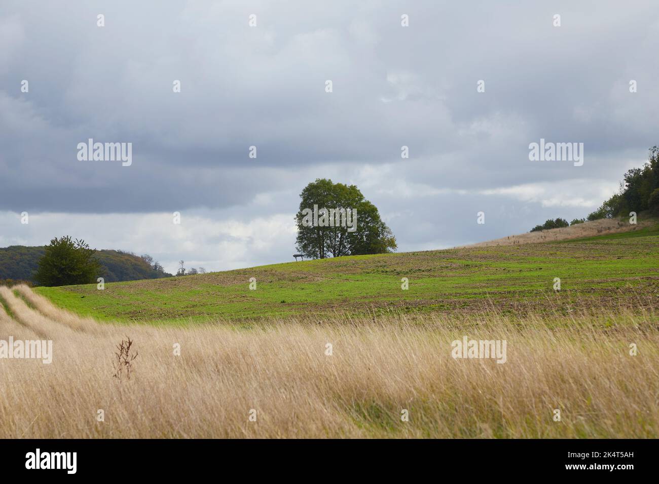 dry meadow with countryside hills in the background Stock Photo - Alamy