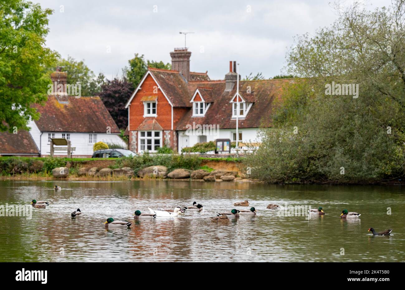 Falmer saxon pond hi-res stock photography and images - Alamy