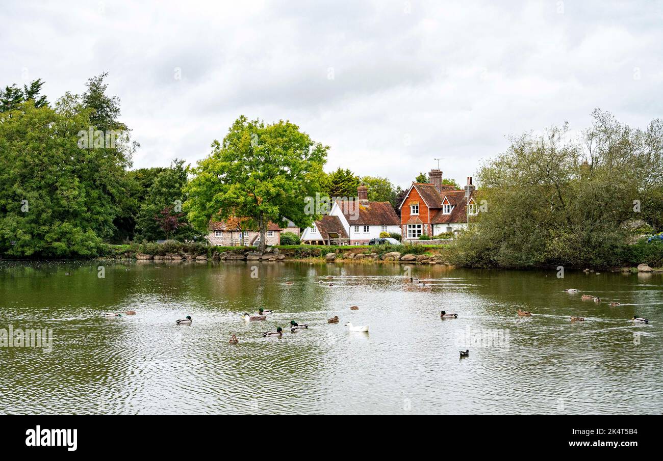 Falmer saxon pond hi-res stock photography and images - Alamy