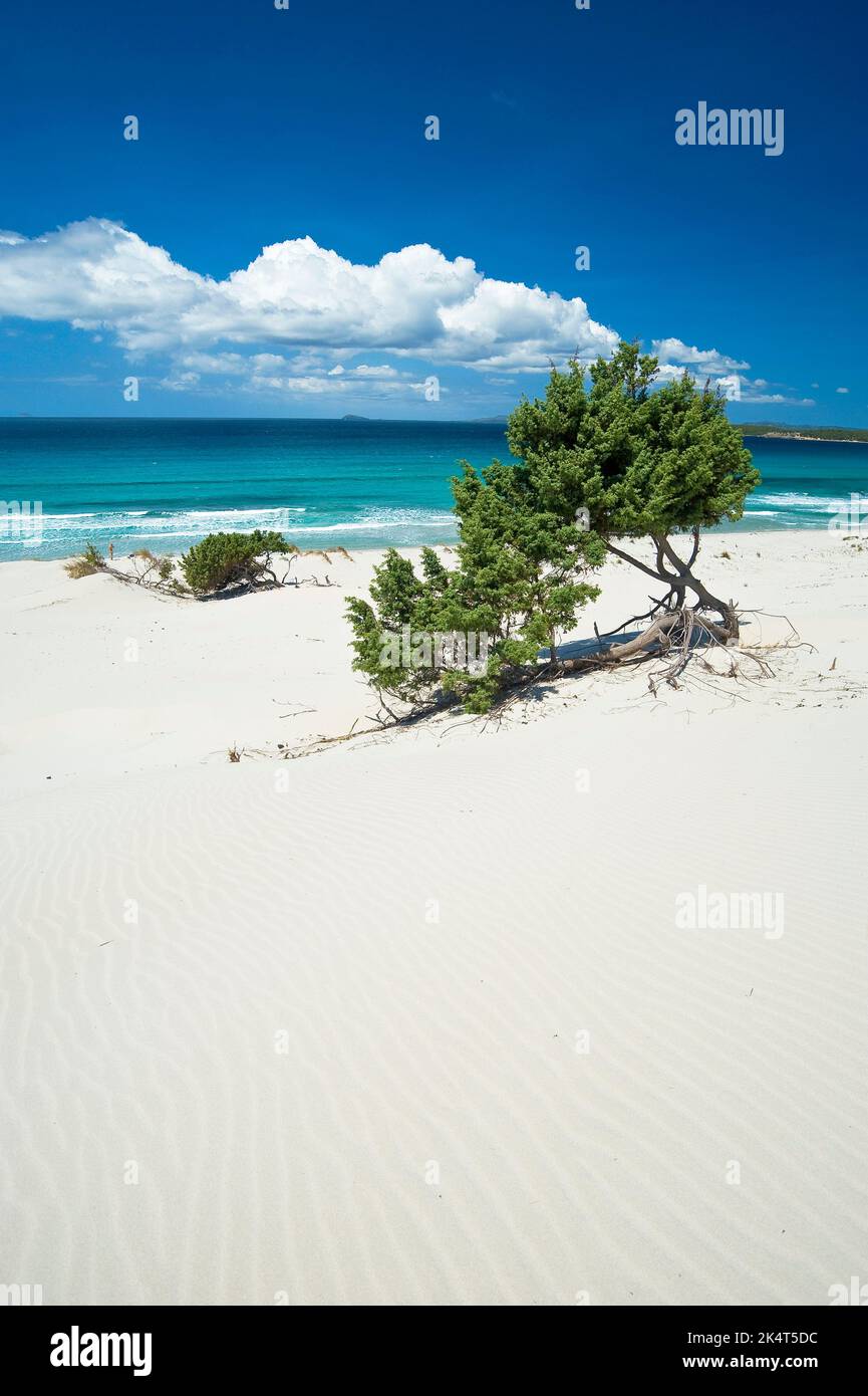 Is Arenas Biancas, Teulada, Sardinia, Italy, Europe Stock Photo - Alamy