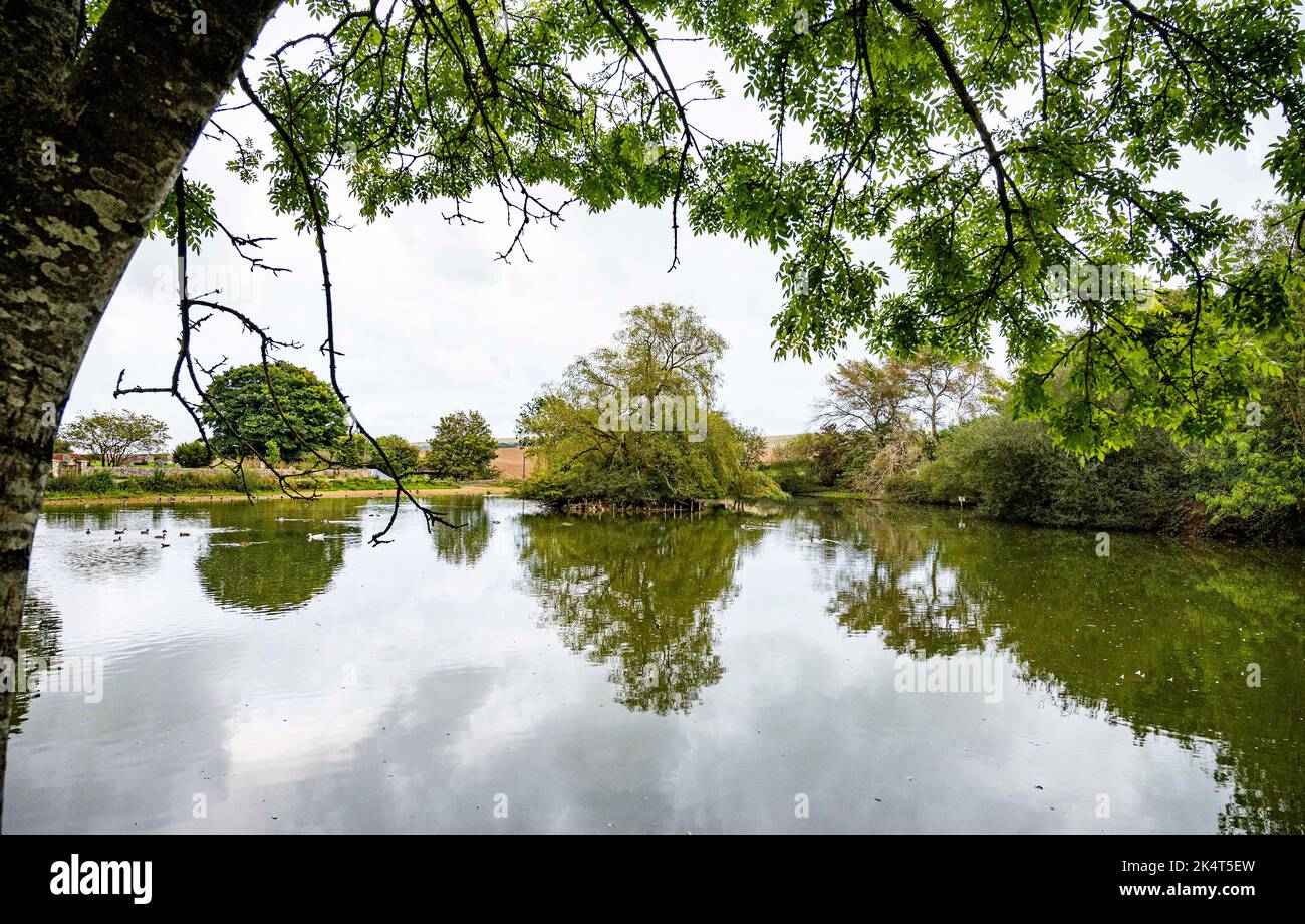 Pond water levels hi-res stock photography and images - Alamy