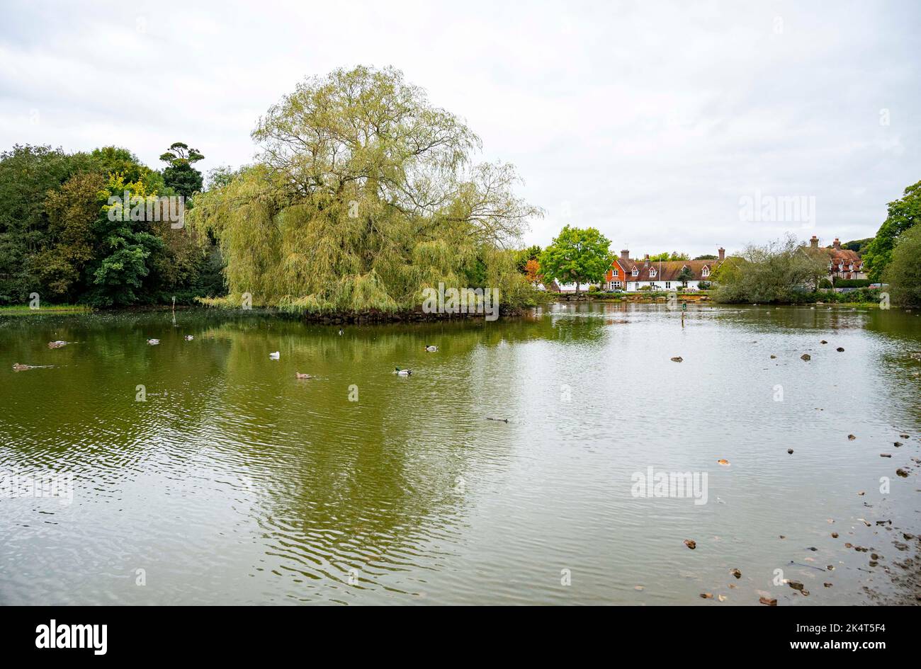 Brighton UK 4th October 2022 - The water levels at the Saxon pond in ...