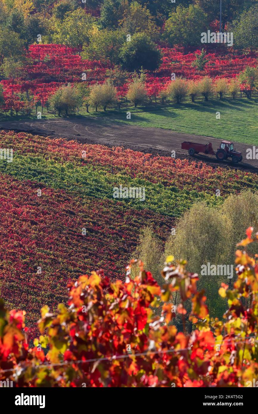 Autumn landscape in Castelvetro di Modena, Emilia Romagna, Italia Stock ...