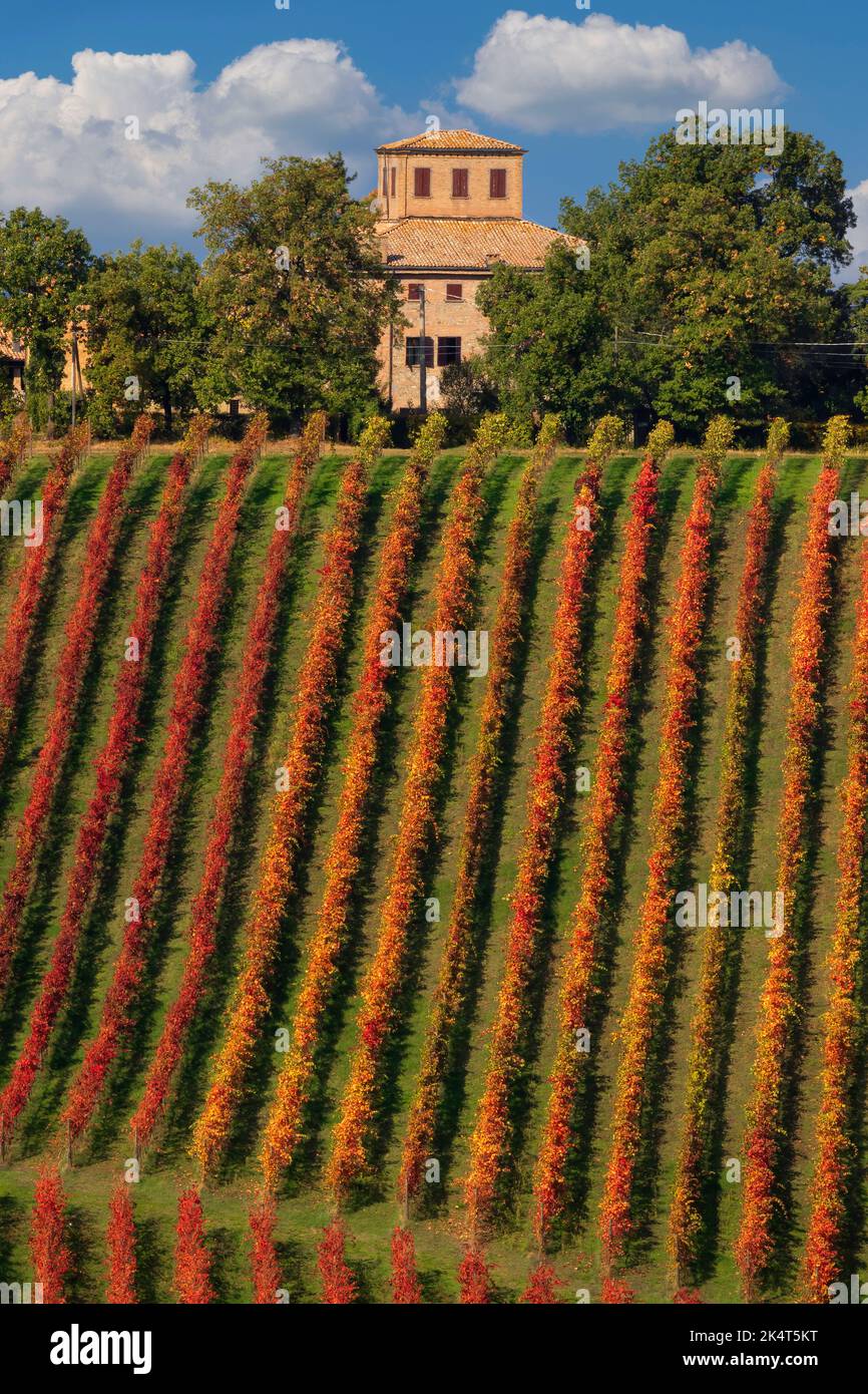 Autumn landscape in Castelvetro di Modena, Emilia Romagna, Italia Stock ...