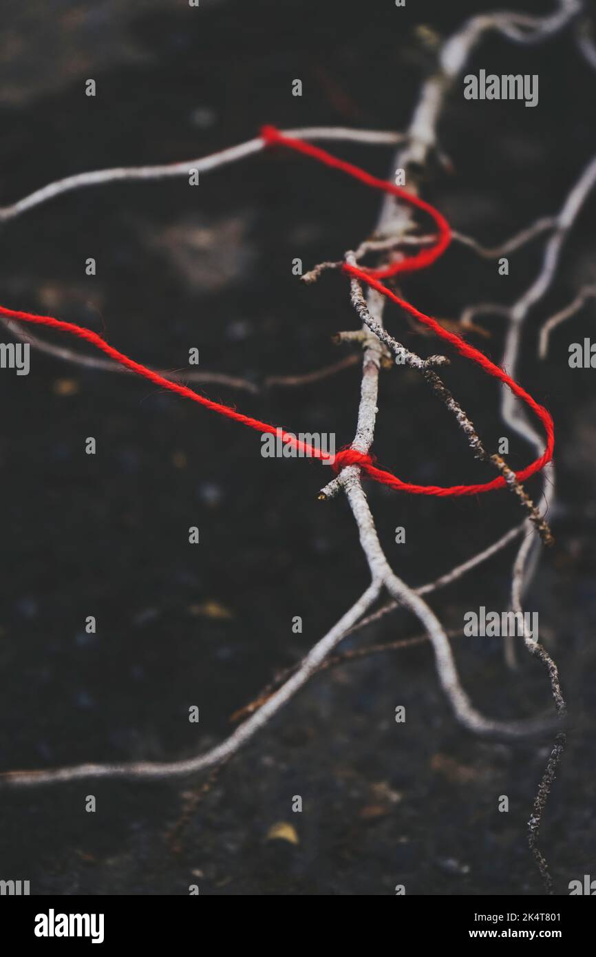 Red thread tangled in a dry branch Stock Photo - Alamy