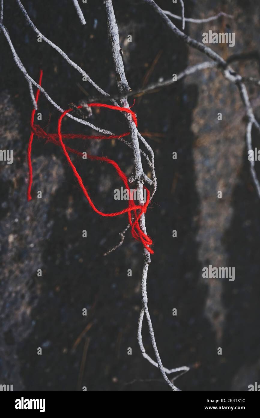 Tangled branches in black and white hi-res stock photography and images ...