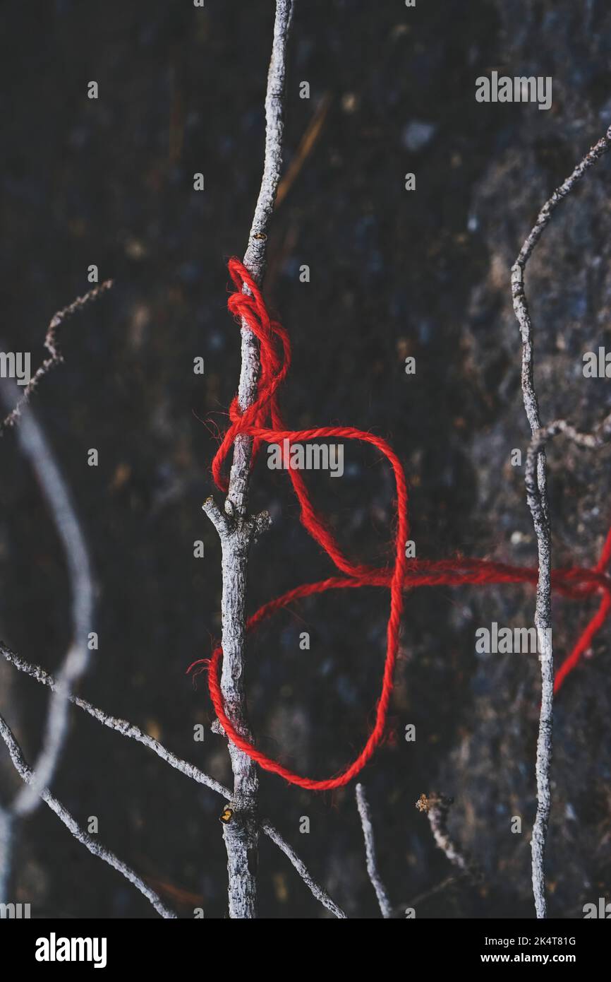 Tangled branches in black and white hi-res stock photography and images ...