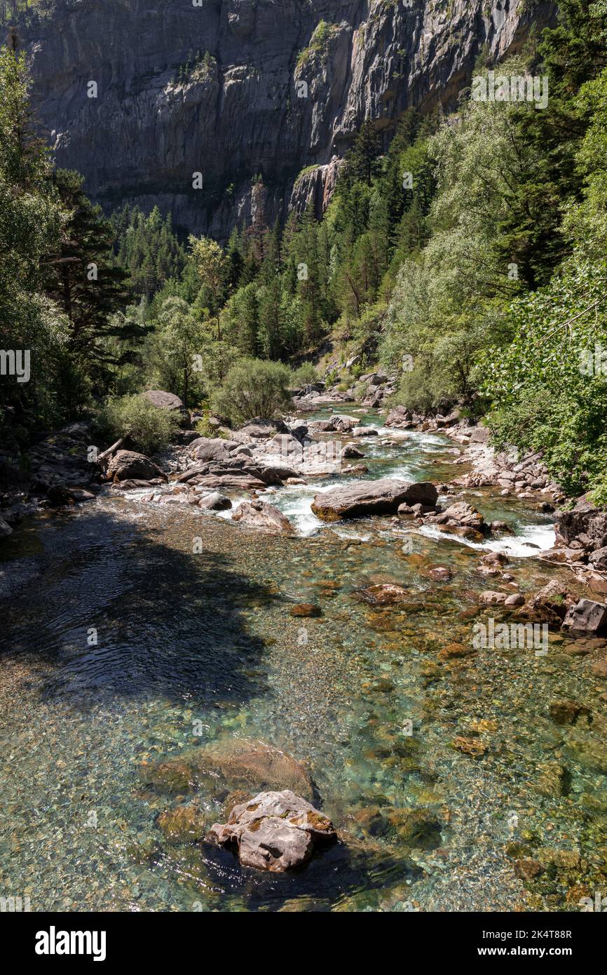Panoramic valley landscape with crystal clear river, stones and tall ...