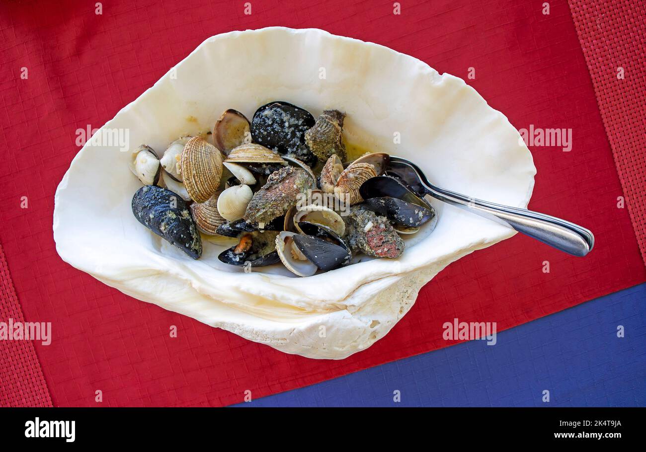 Various olive shells hi-res stock photography and images - Alamy