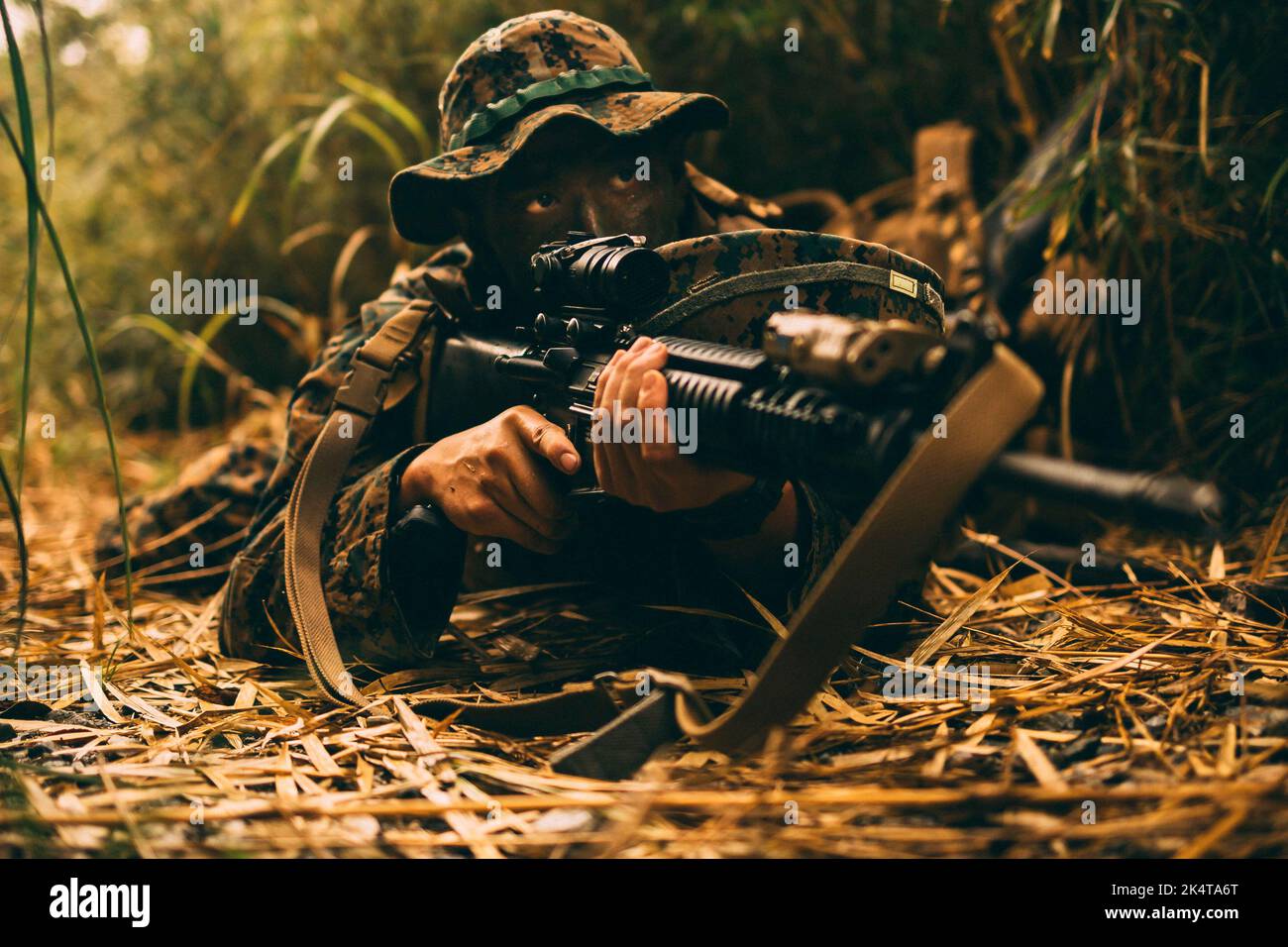 3dintelligencebattalion hi-res stock photography and images - Alamy