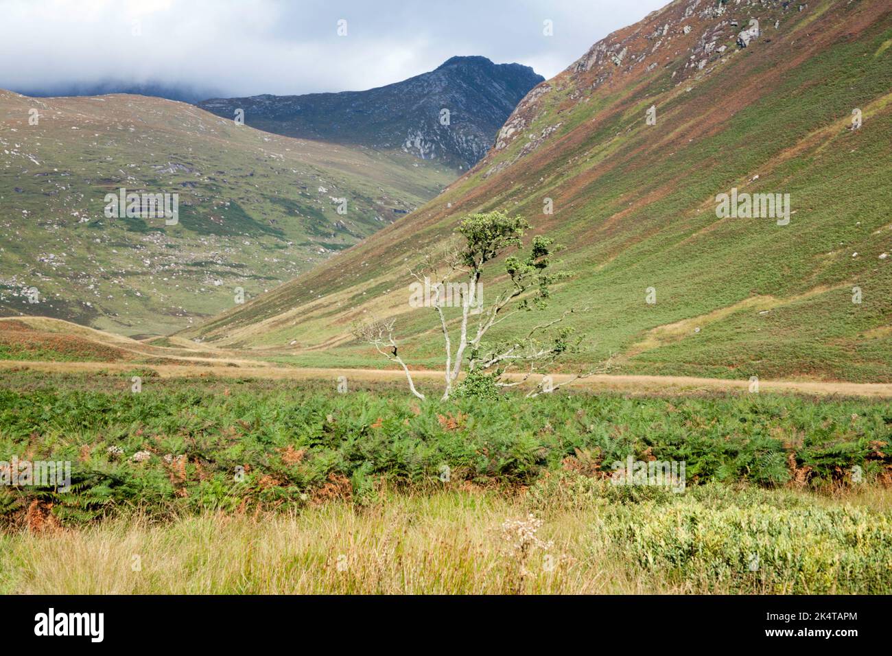 Glen Rosa the Isle of Arran Scotland Stock Photo - Alamy