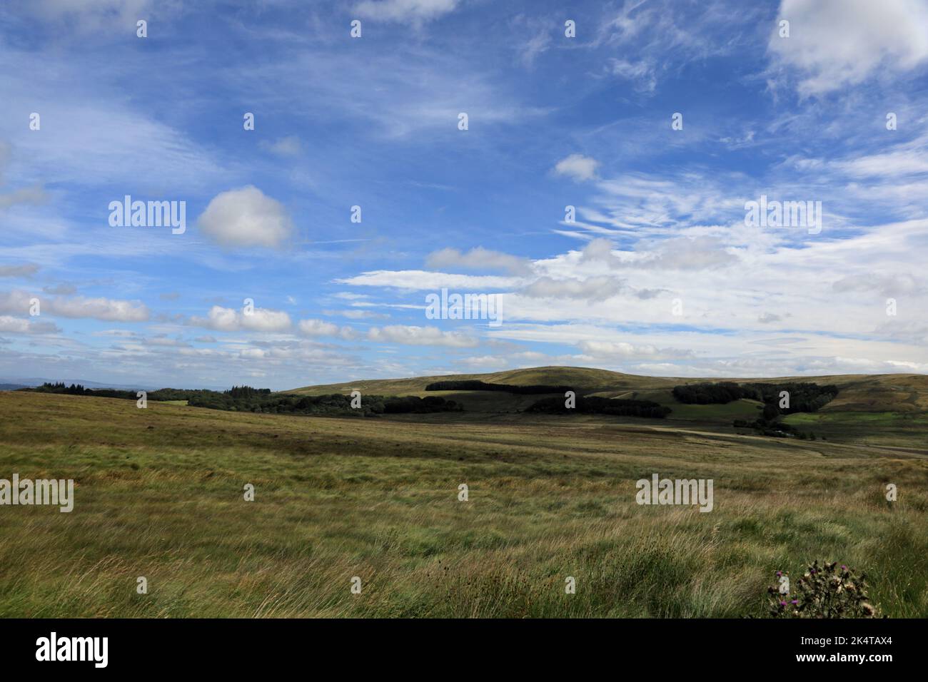 Moorland on the slopes of Great Hill on the West Pennine Moors ...