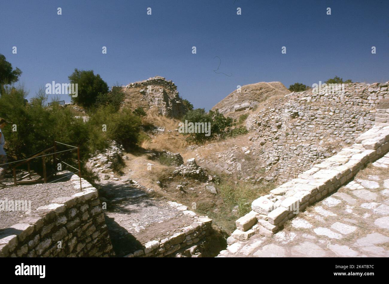 growing Raymond Boswell Stock Photo - Alamy