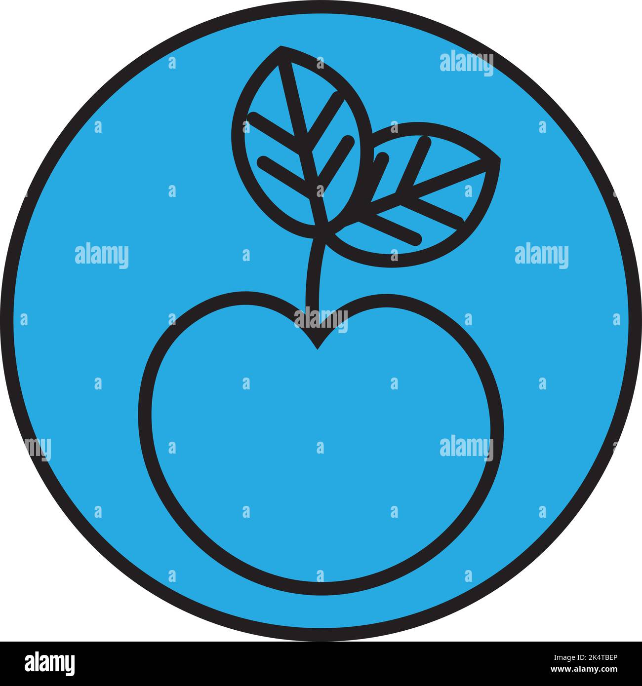 Fresh fruit, illustration, vector on a white background Stock Vector ...