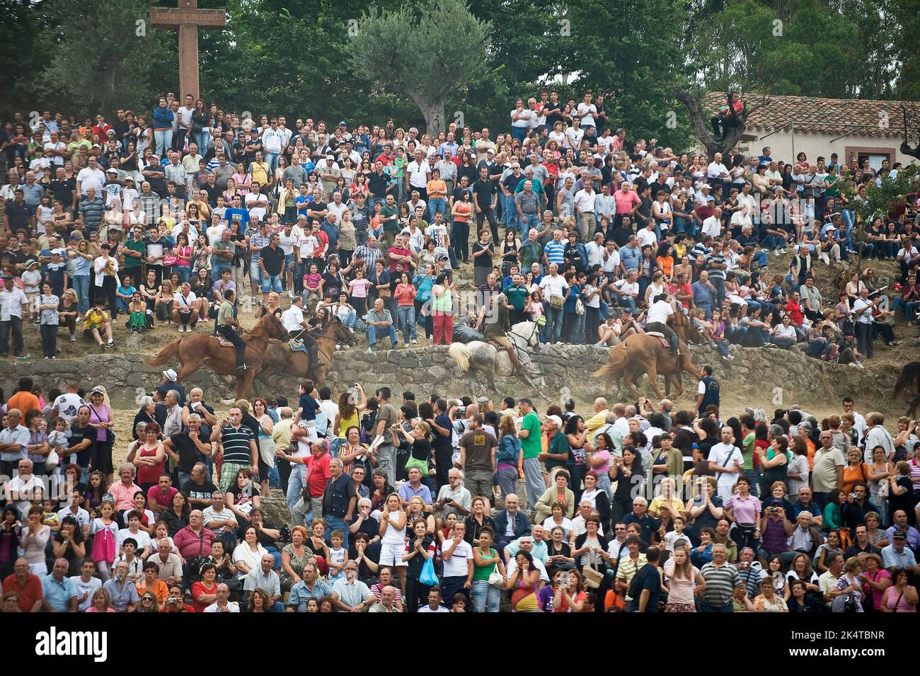 Ardia sardinia hi-res stock photography and images - Alamy