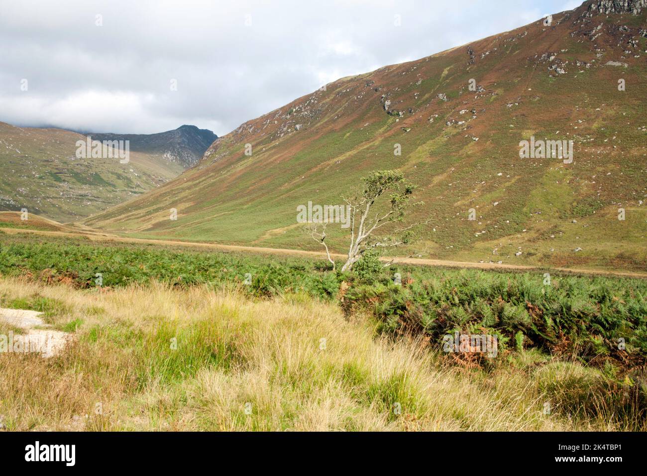 Glen rosa arran hi-res stock photography and images - Alamy