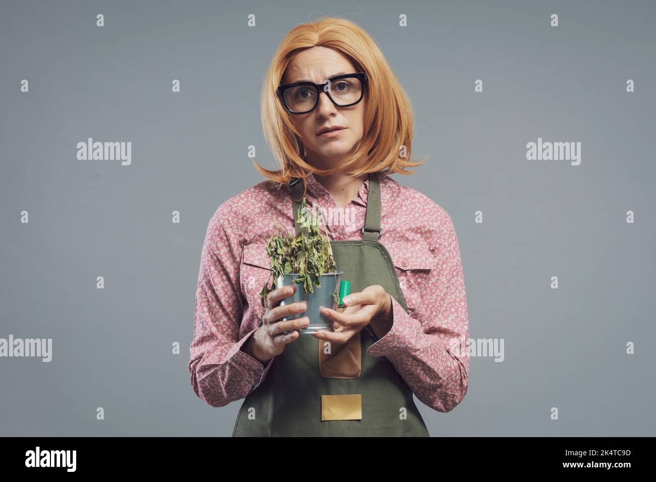 Disappointed woman holding a dead plant: gardening failure concept ...