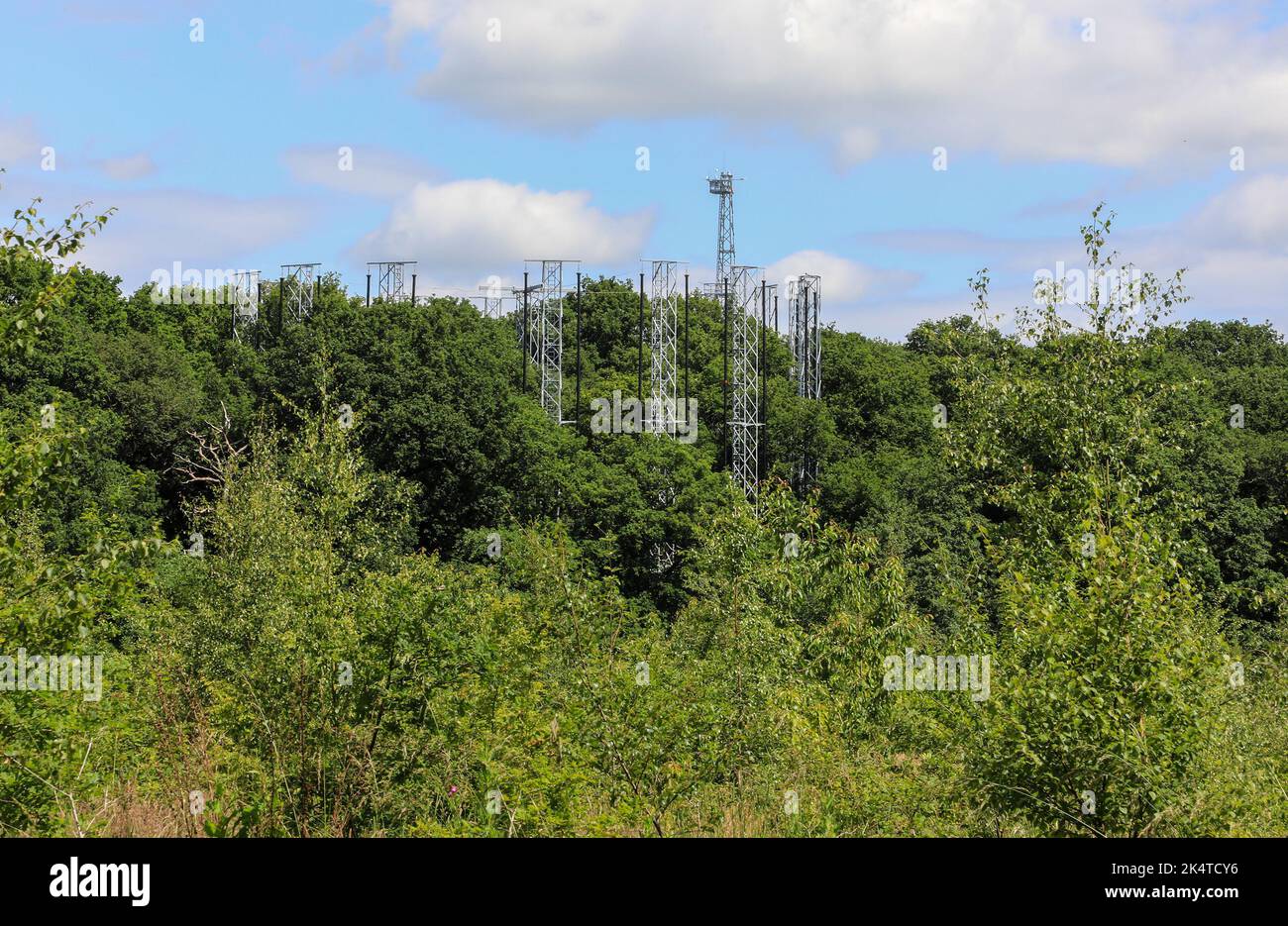 Effects of carbon dioxide on trees hi-res stock photography and images ...