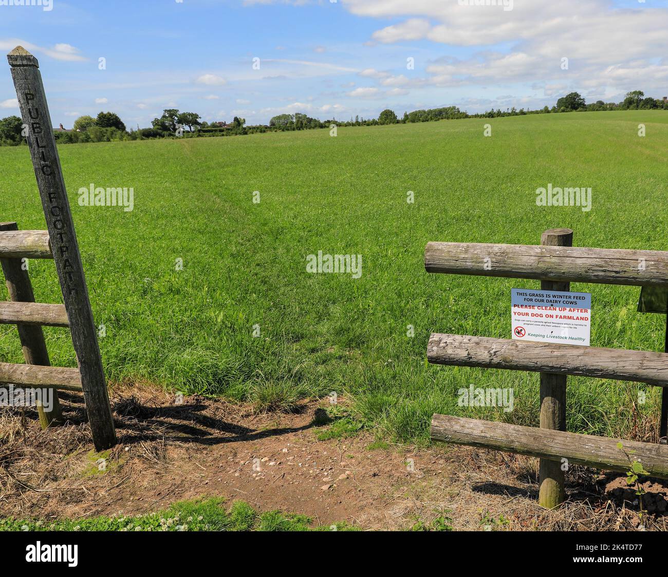 A sign on a public footpath through a field of winter feed for cows ...