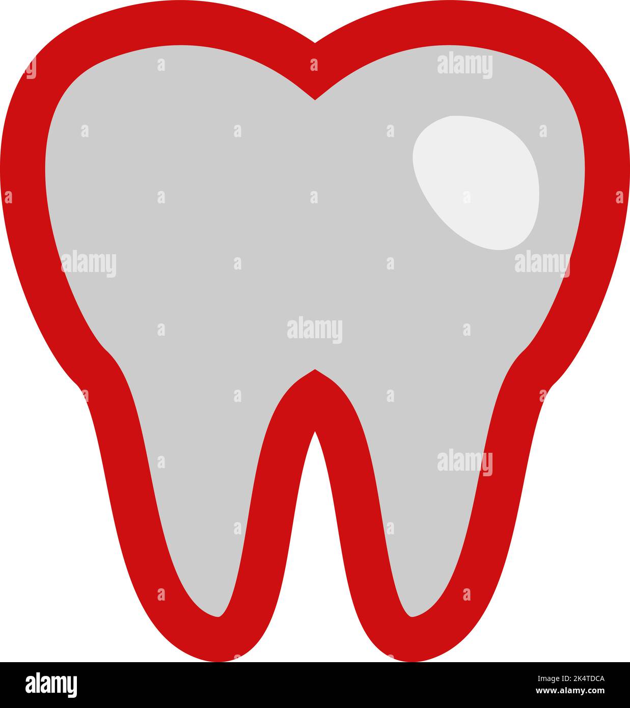 Anatomy of a healthy human tooth hi-res stock photography and images ...
