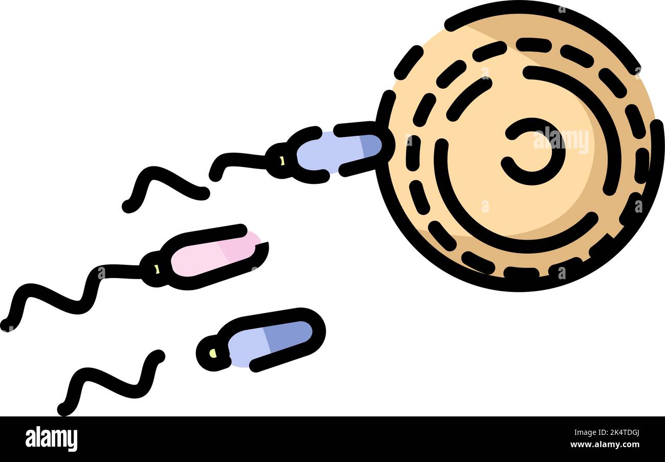 Female fertilization, illustration, vector on a white background Stock ...