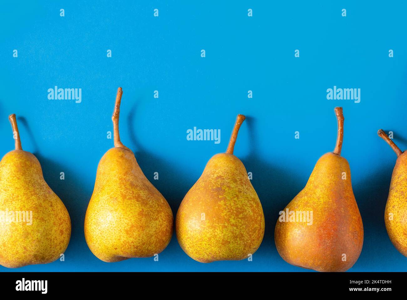 Yellow pears on a blue background. Fruit harvest. Autumn still life ...