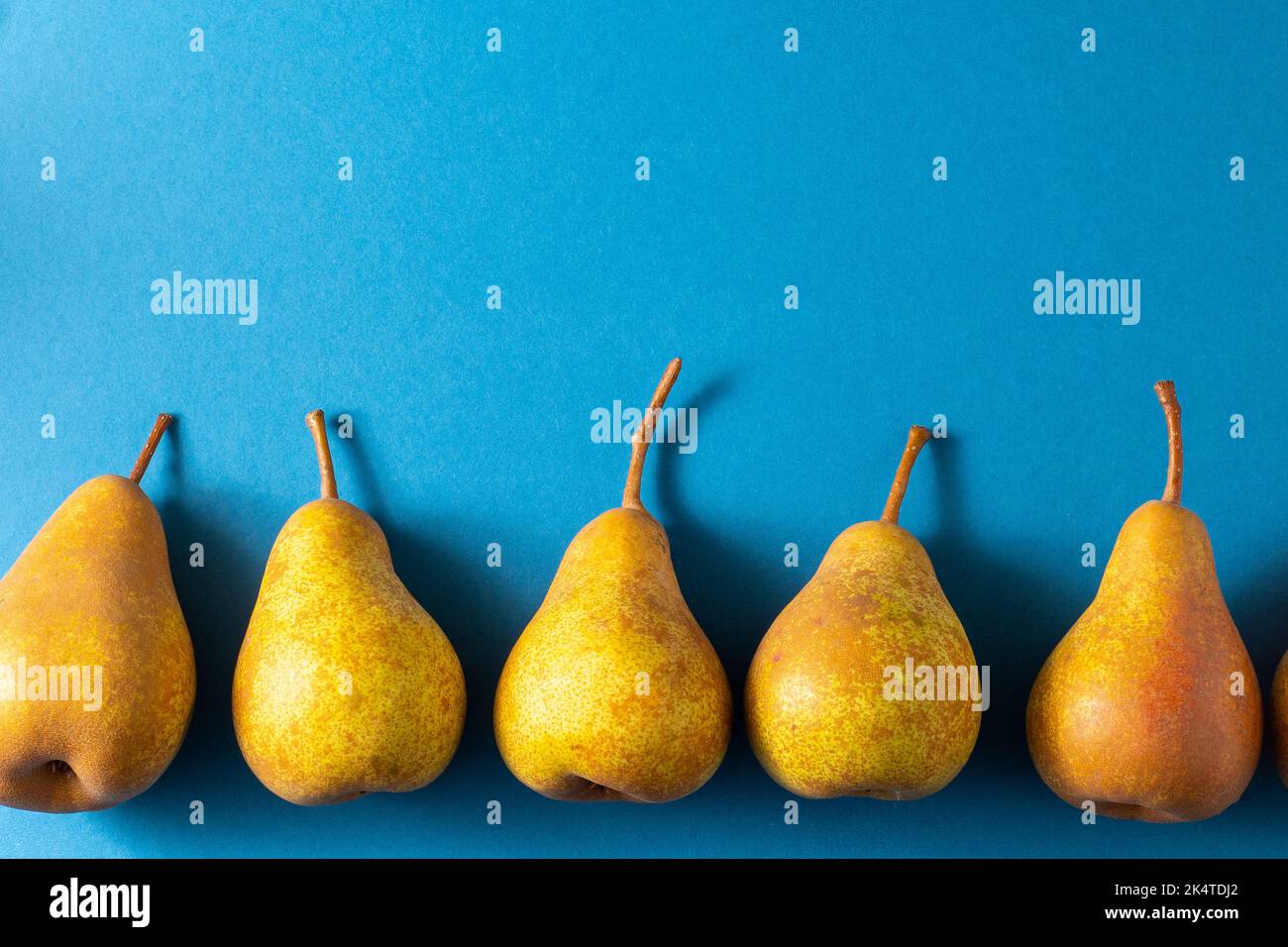 Yellow pears on a blue background. Fruit harvest. Autumn still life ...