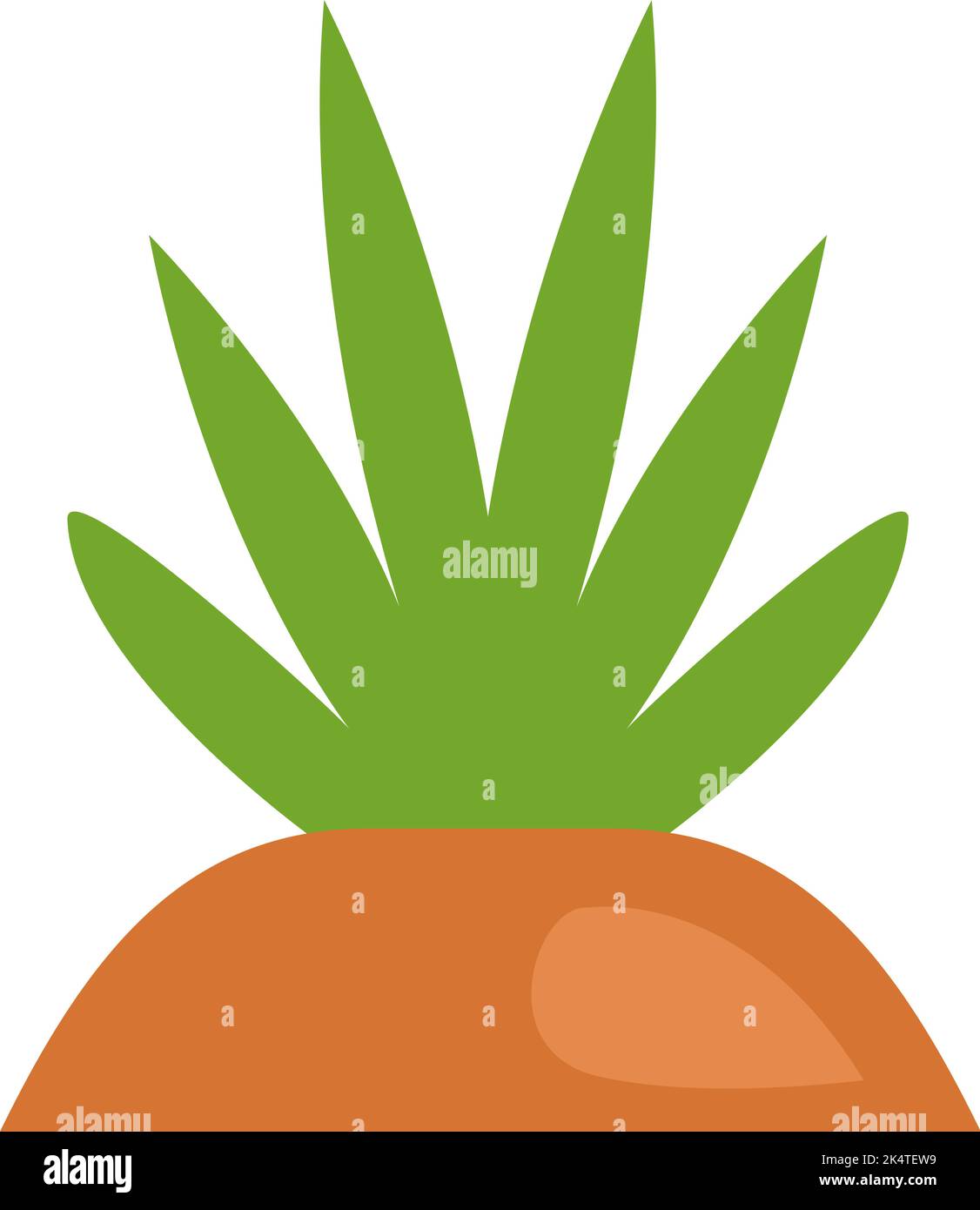 Green spring grass, illustration, vector on a white background Stock ...