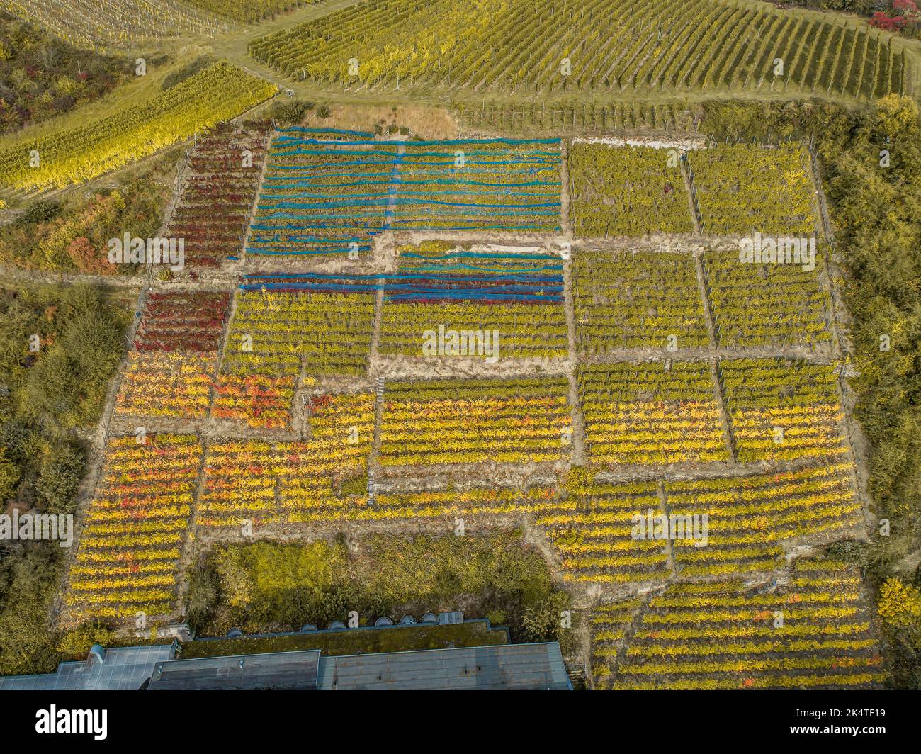 Aerial view Famous German Wine Region Moselle River Lay and Guels ...