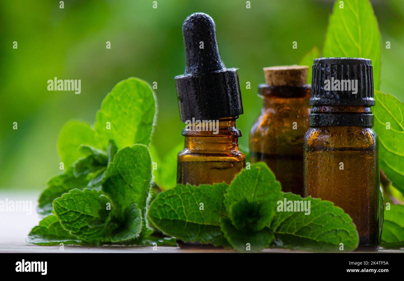 Menthol jar mint leaf hi-res stock photography and images - Alamy
