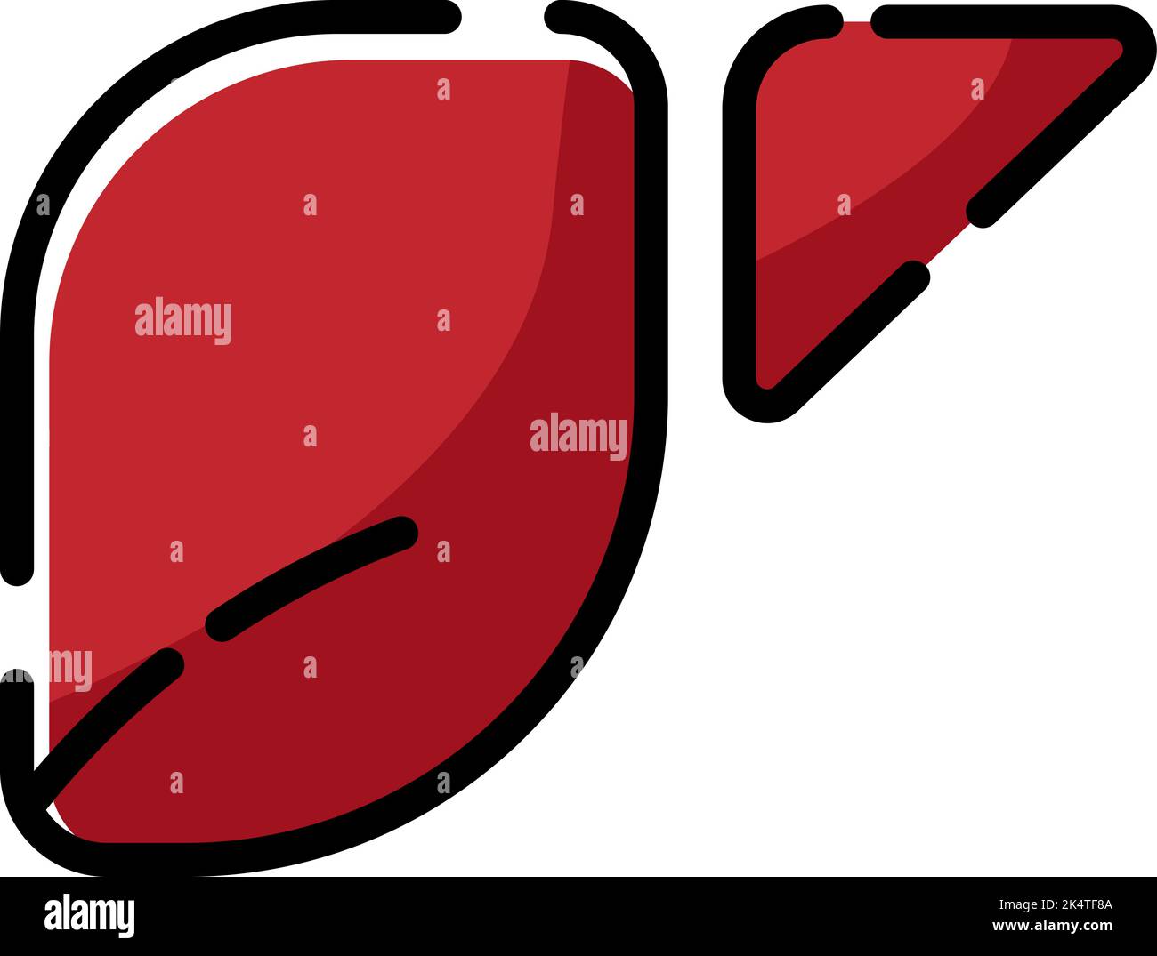 Human liver, illustration, vector on a white background Stock Vector ...