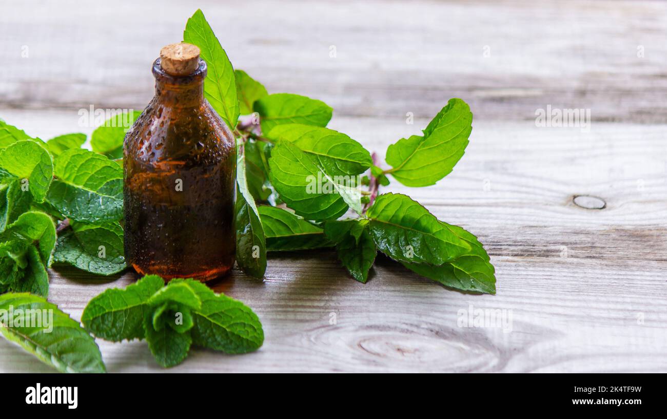 The mint extract in a small jar. Selective focus Stock Photo - Alamy