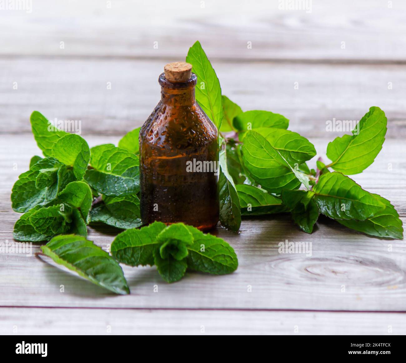 The mint extract in a small jar. Selective focus Stock Photo - Alamy