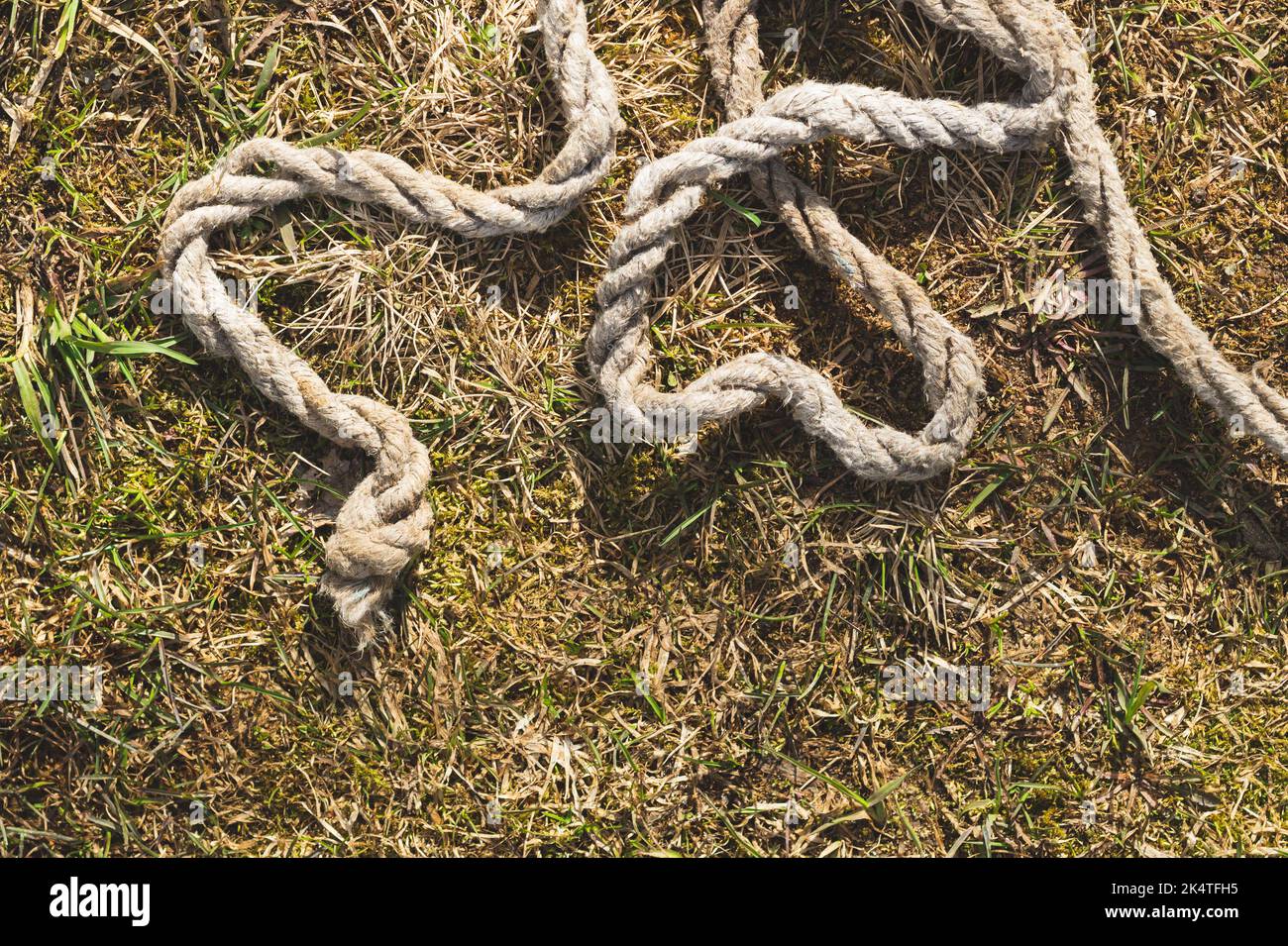Old rope lies on the green grass Stock Photo - Alamy