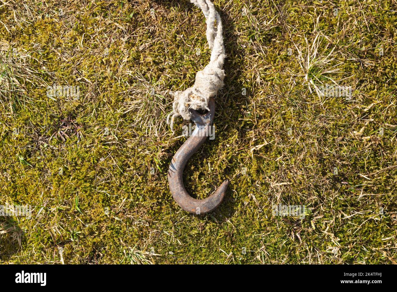 Rusty metal hook with rope lies on the green grass Stock Photo - Alamy