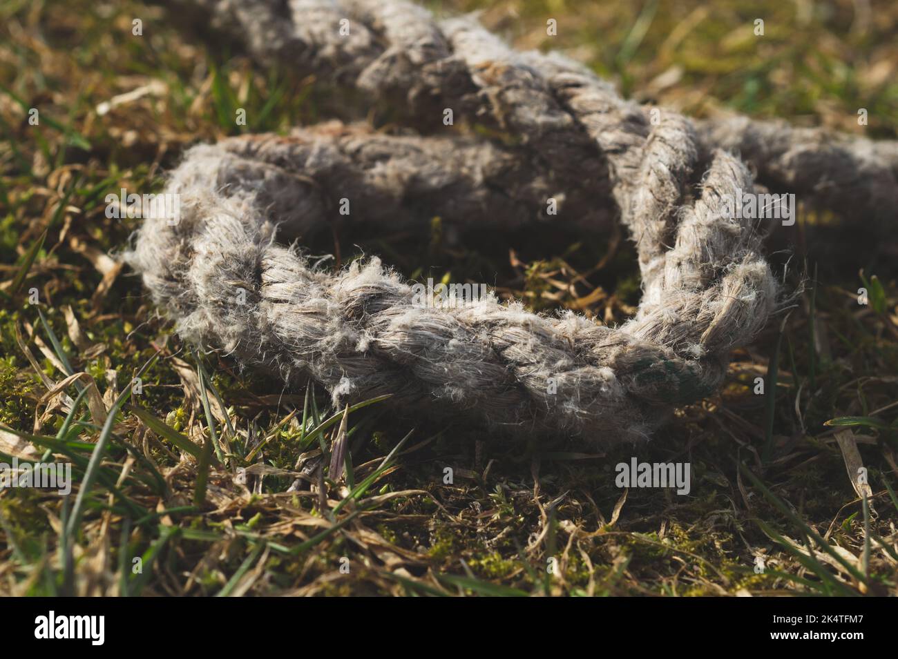 Old rope lies on the green grass. marine equipment Stock Photo - Alamy