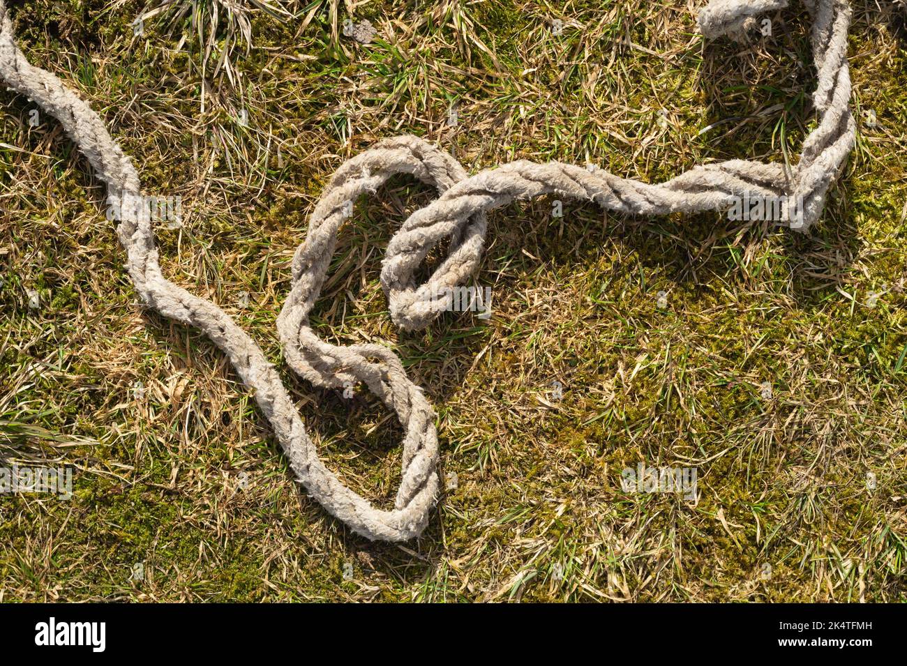 Old rope lies on the green grass. marine equipment Stock Photo - Alamy