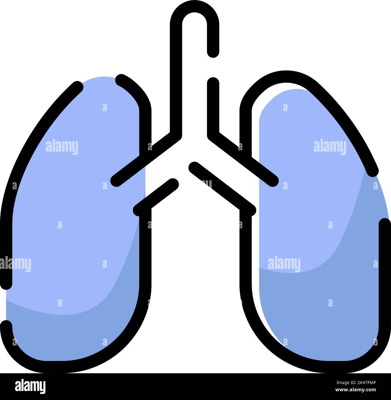 Human lungs, illustration, vector on a white background Stock Vector ...