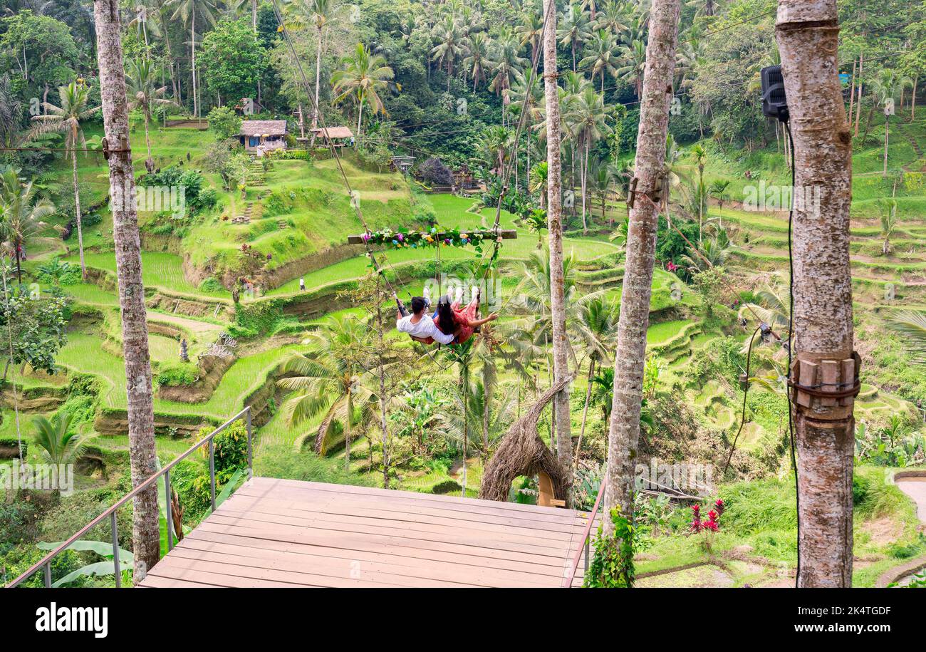 An Asian couple sitting on swing over Tegalalang Rice Terrace is one of ...