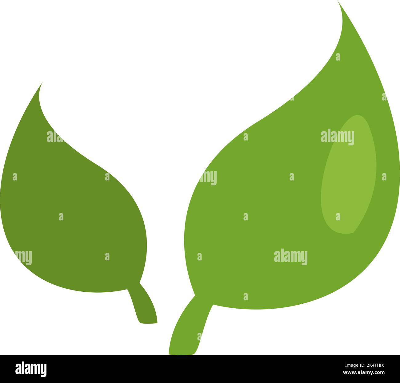 Spring leaves, illustration, vector on a white background Stock Vector ...