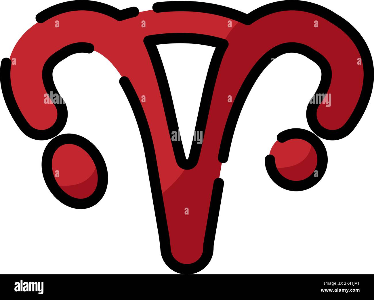 Human uterus, illustration, vector on a white background Stock Vector ...