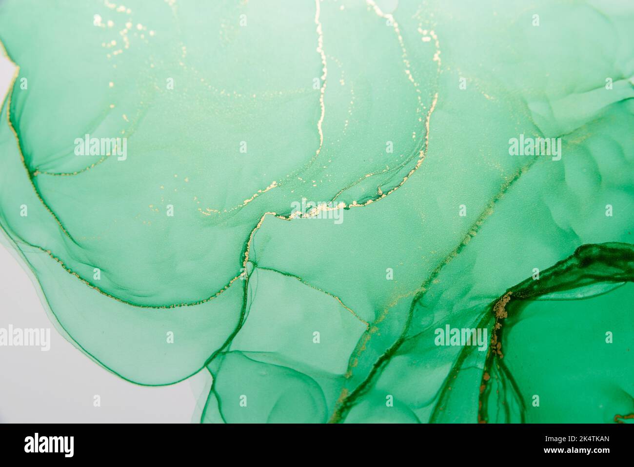 Abstract alcohol ink fluid art background. Green color with gold Stock ...