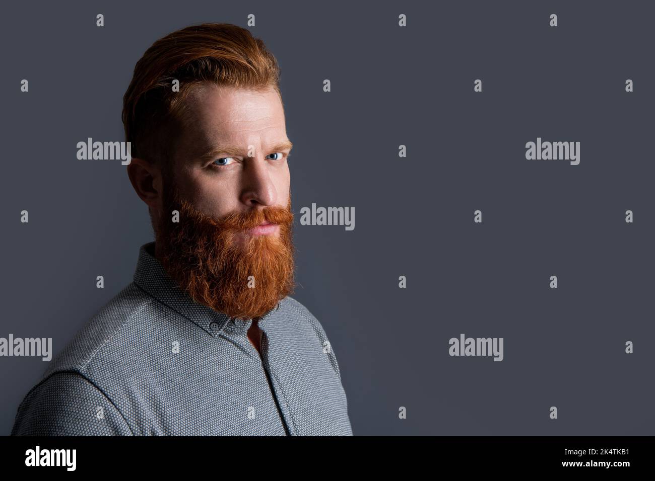 bearded guy face has beard. bearded guy with long beard isolated on ...