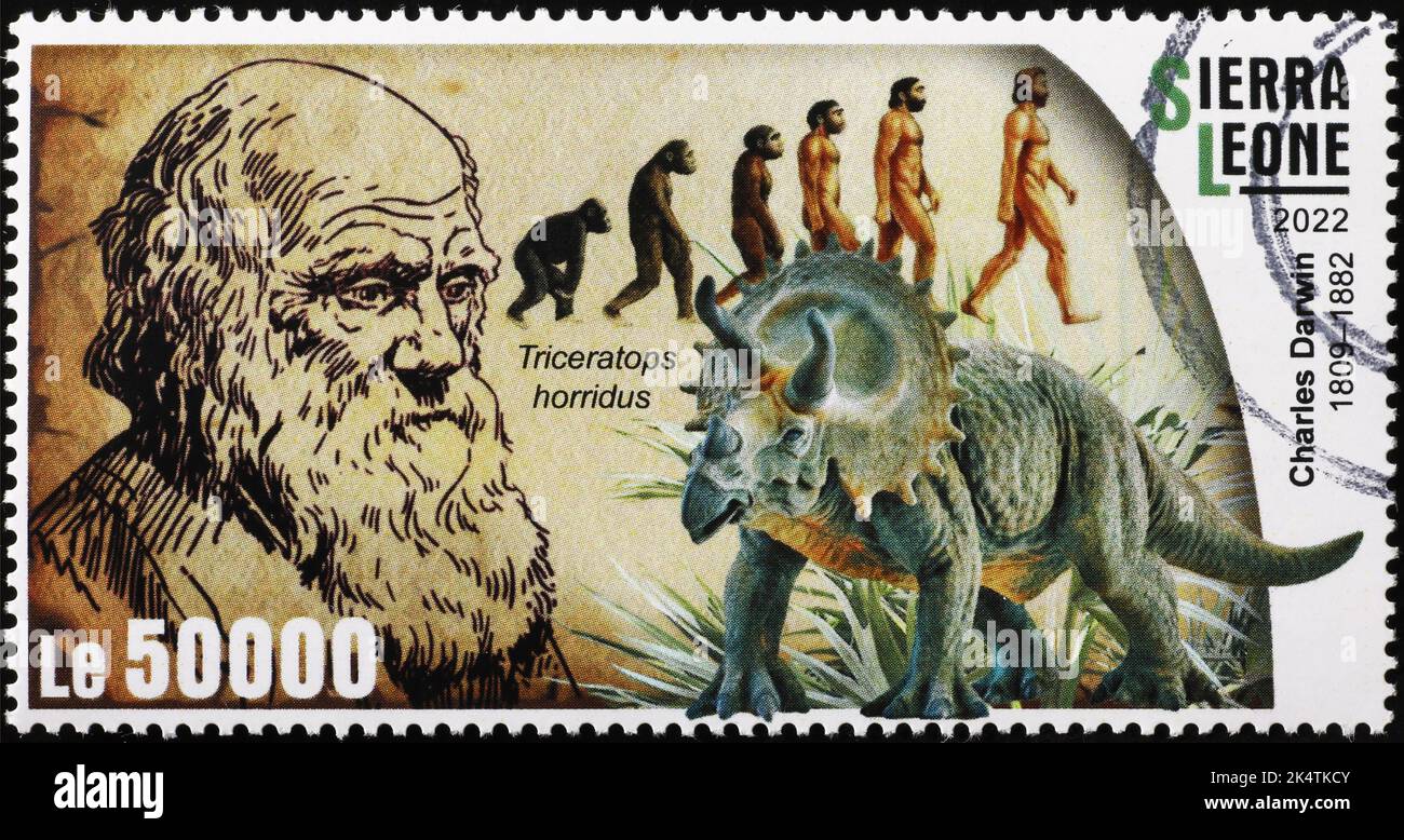 Evolution of man darwin hi-res stock photography and images - Alamy