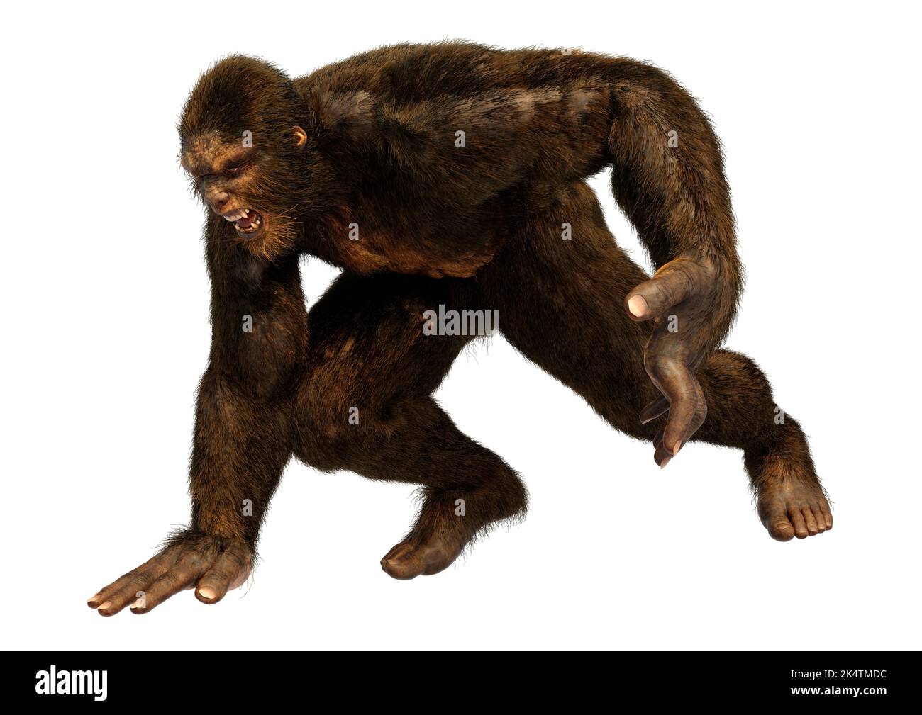 3D rendering of a Sasquatch or Bigfoot isolated on white background ...