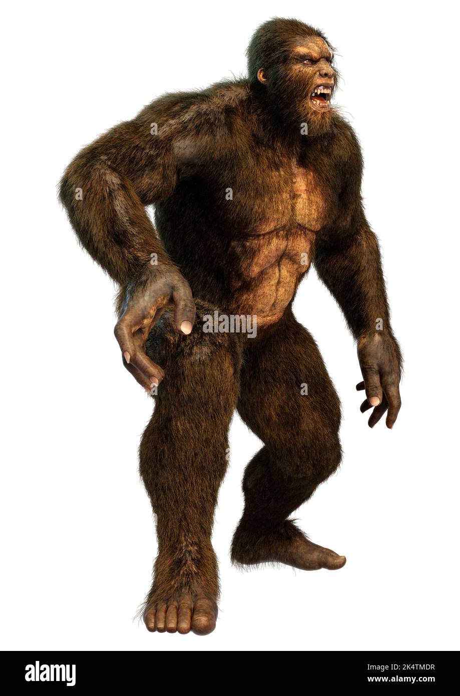 3D rendering of a Sasquatch or Bigfoot isolated on white background ...