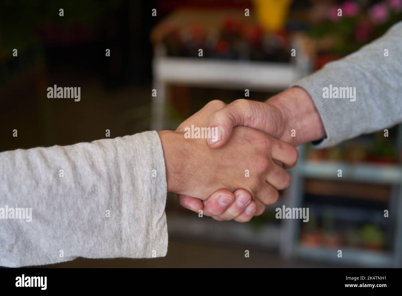 People shaking hands as a concept for congratulations and greetings ...